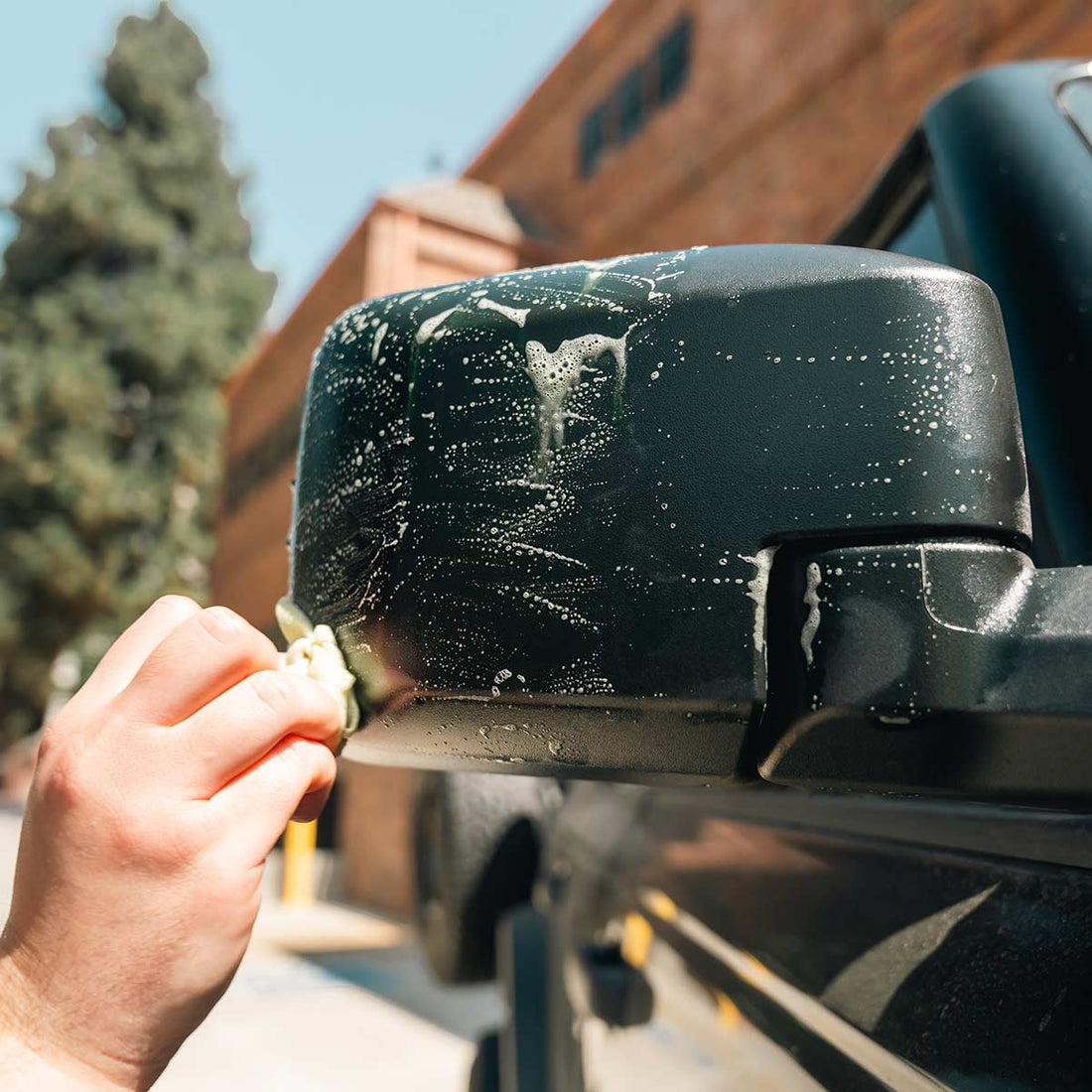 Product Spotlight: Bug Remover Wipes For Car | 3D Car Care
