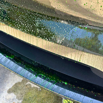 Auto Bug Remover For Cars | 3D Car Care